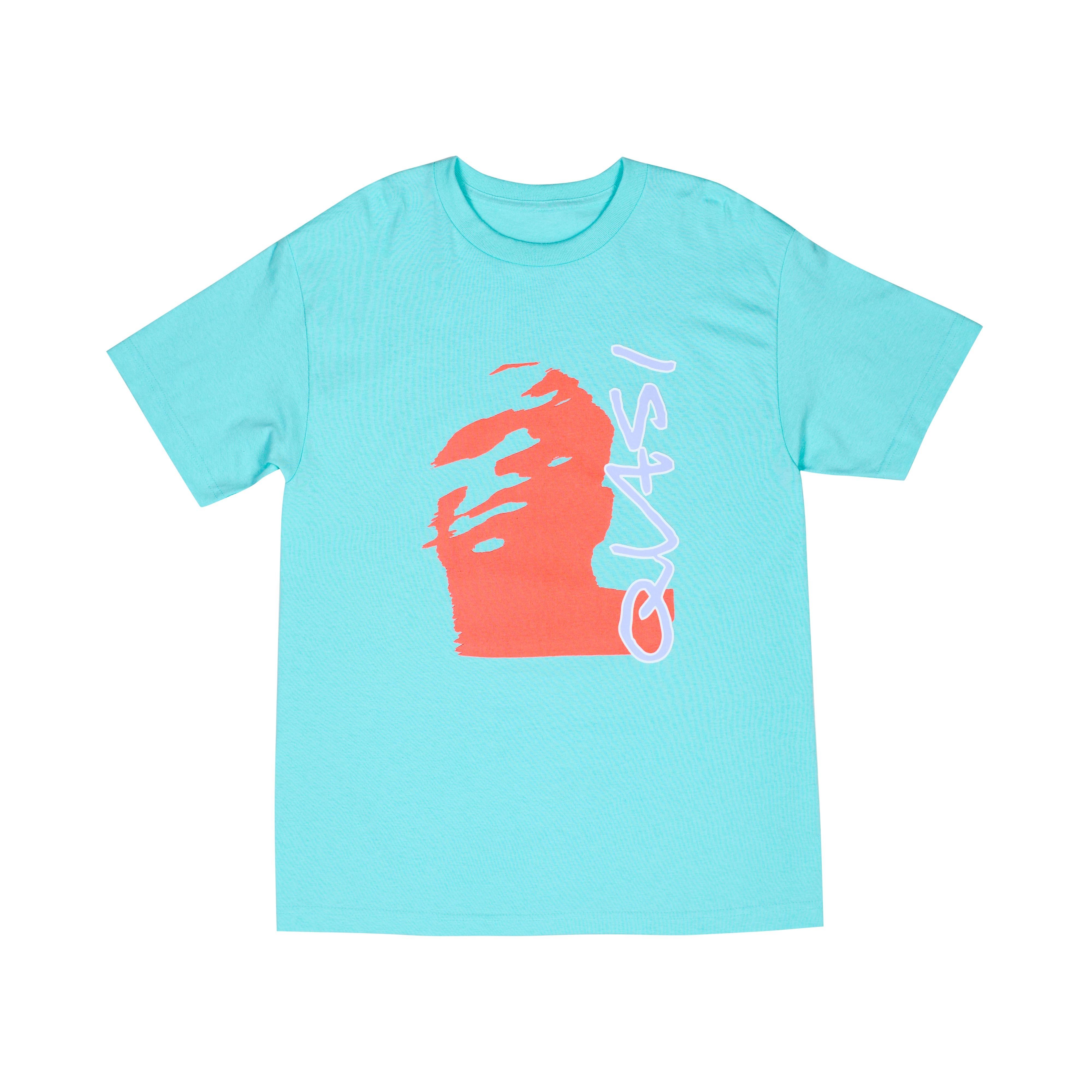 Quasi Blur T-Shirt - Celadon | MOLOTOV SKATESHOP